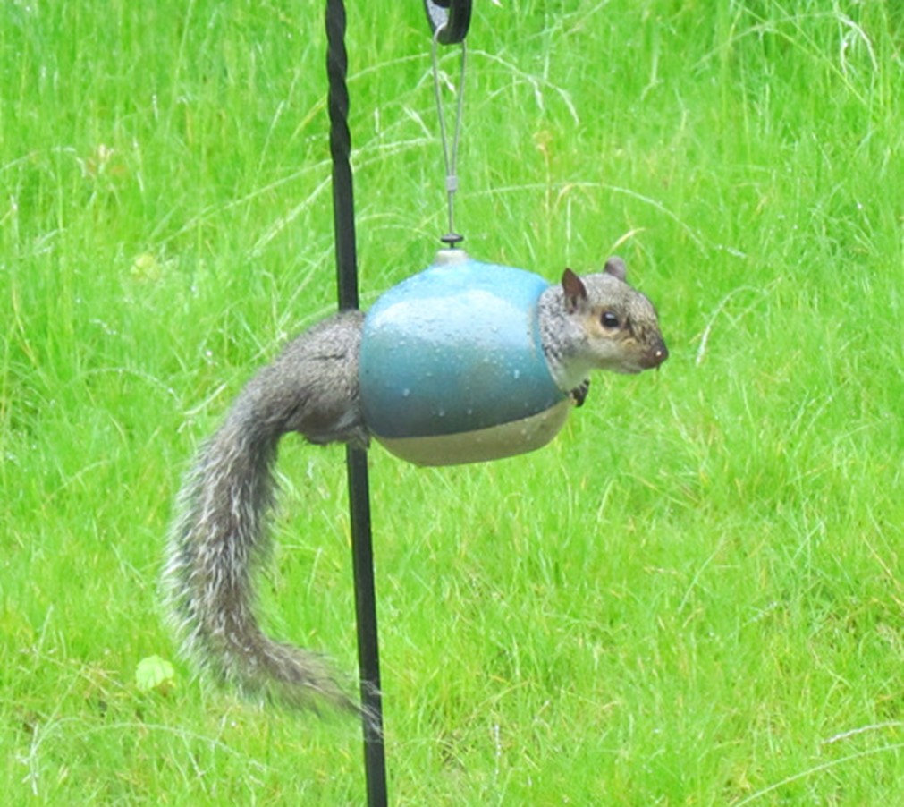 Residents Photographic Competition | Retirement Villages