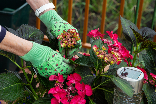 Life in this village | Gradwell Park | Retirement Villages