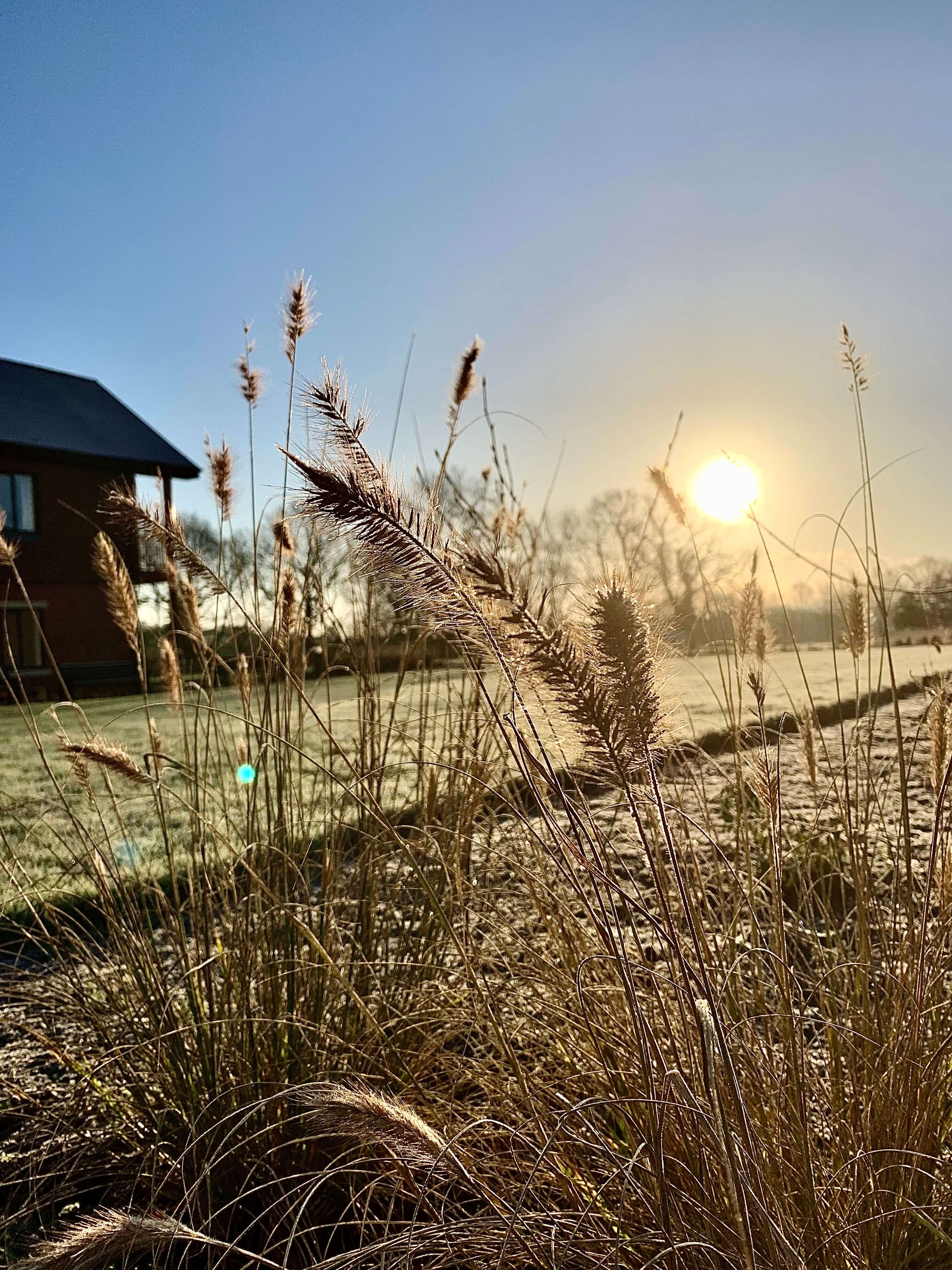 Life in this village | Gradwell Park | Retirement Villages