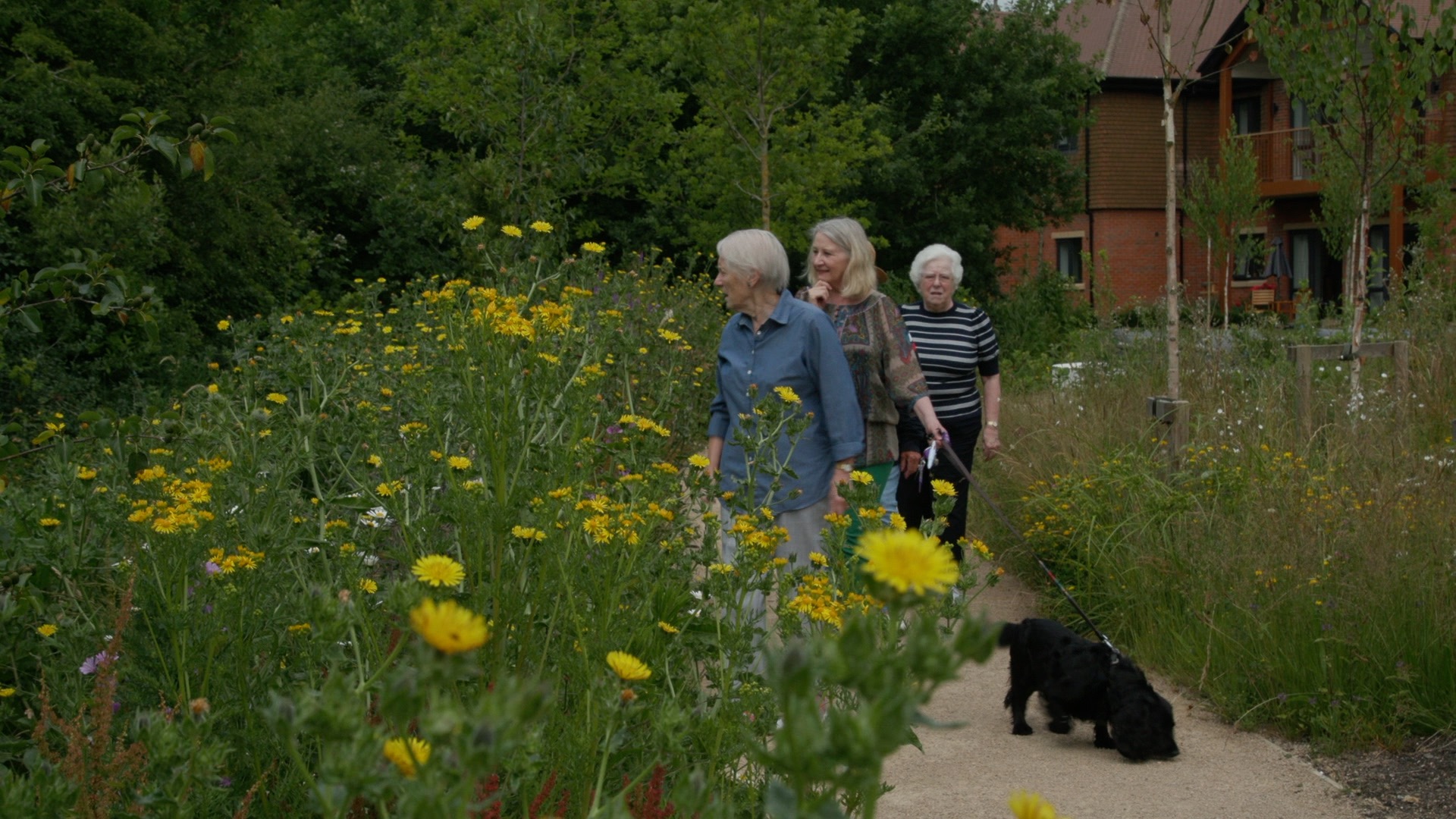 Life in this village | Gradwell Park | Retirement Villages